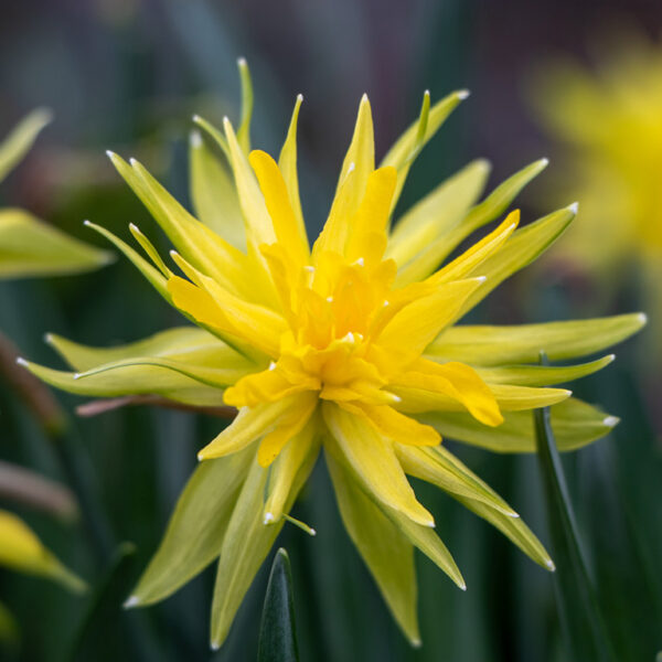 Coaching | MLS Consulting, LLC